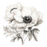 Anemone Flower Tattoo Design – Tattoos Wizard Designs