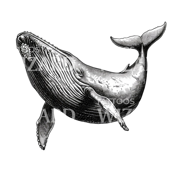 Gorgeous Whale Drawing Tattoo Idea – Tattoos Wizard Designs