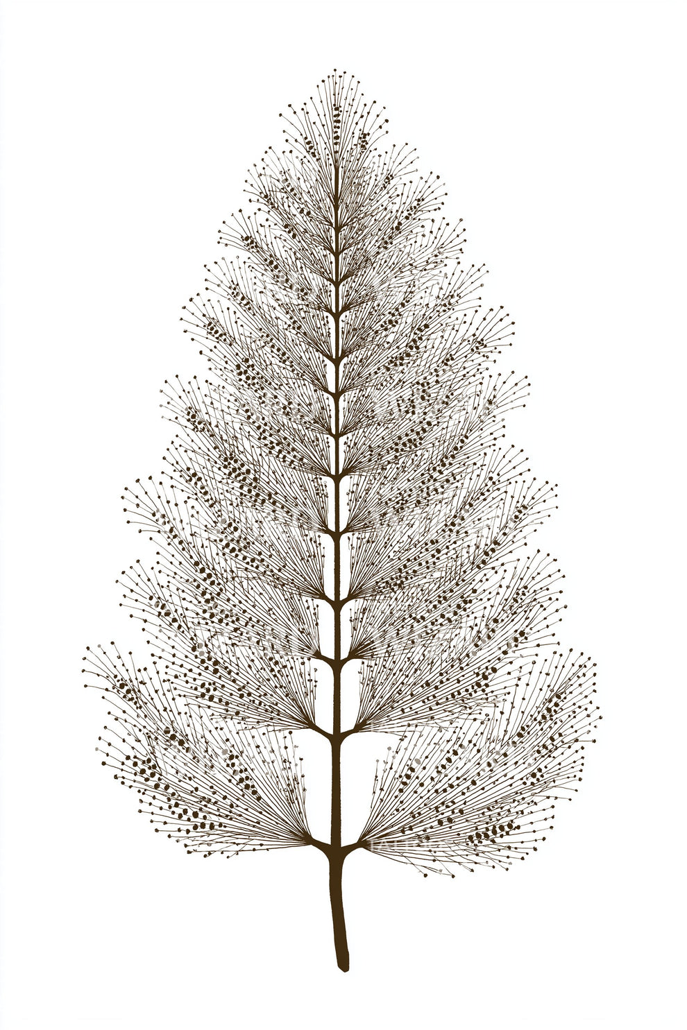 Feathery Larch Branch Tattoo Illustration – Tattoos Wizard Designs