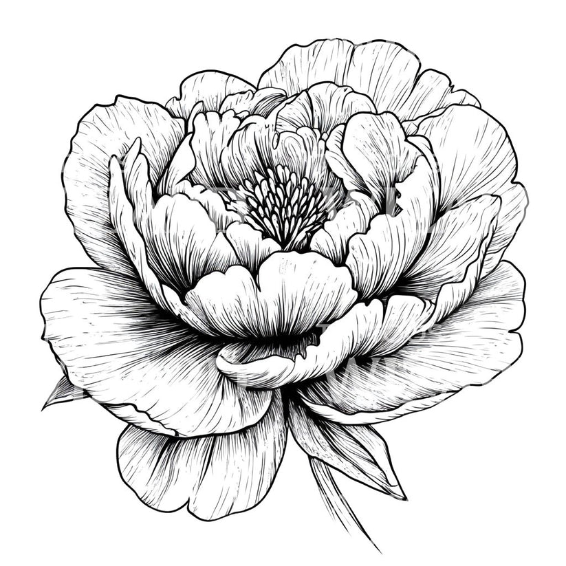 Fineline Outline of Peony Flower Tattoo Design – Tattoos Wizard Designs