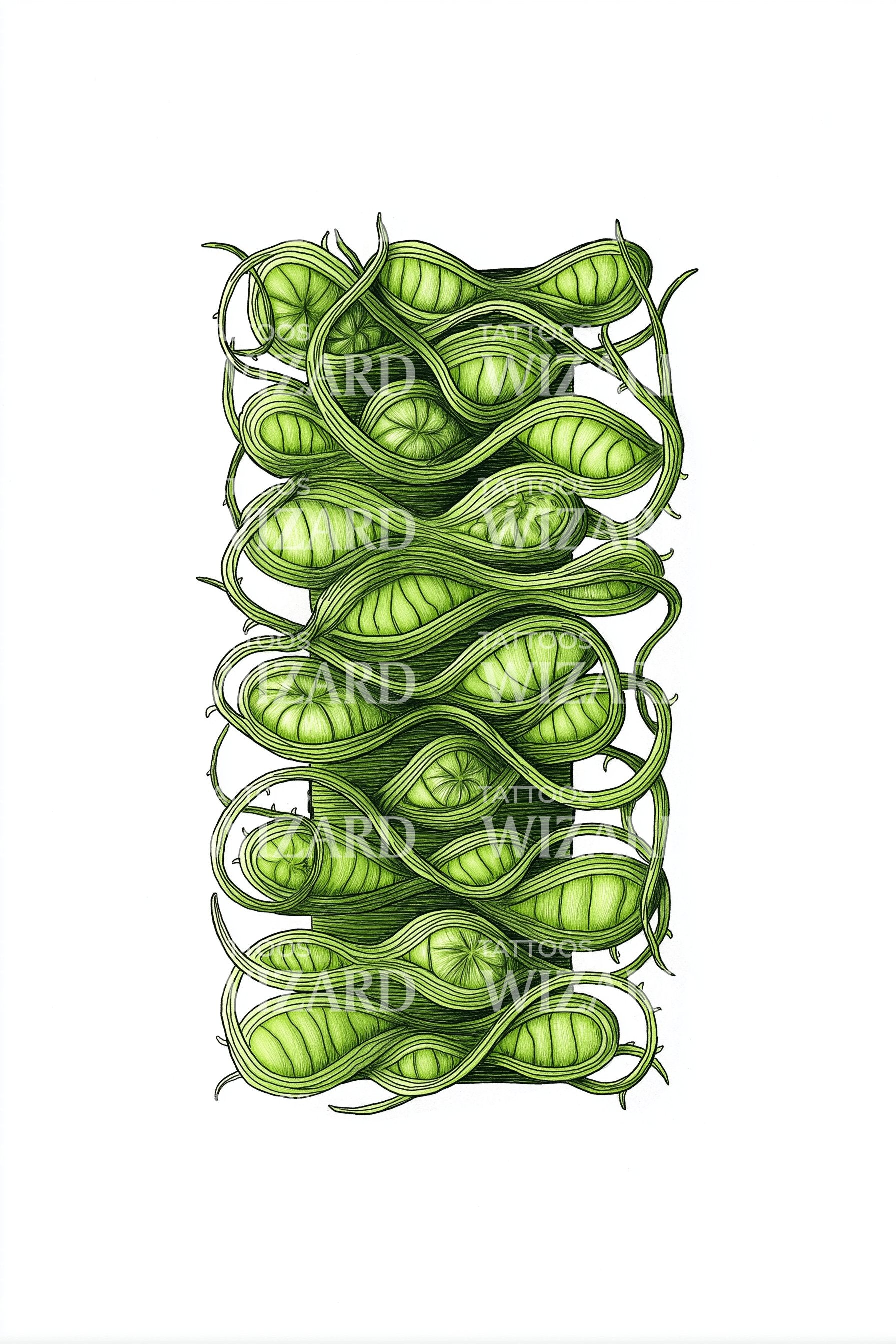 Pea Pod Stack Tattoo Design – Tattoos Wizard Designs