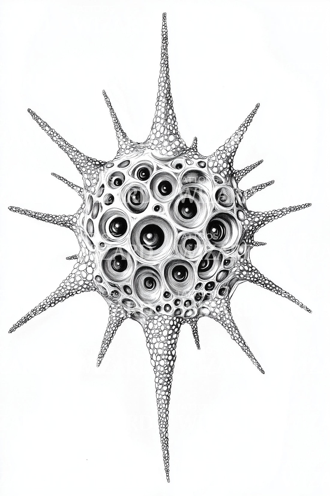 Spiky Radiolarian Sphere Tattoo Design – Tattoos Wizard Designs